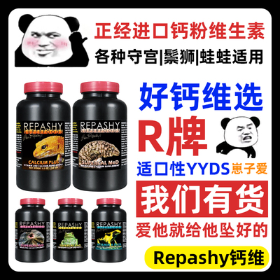 爬虫钙粉守宫鬃狮REPASHY