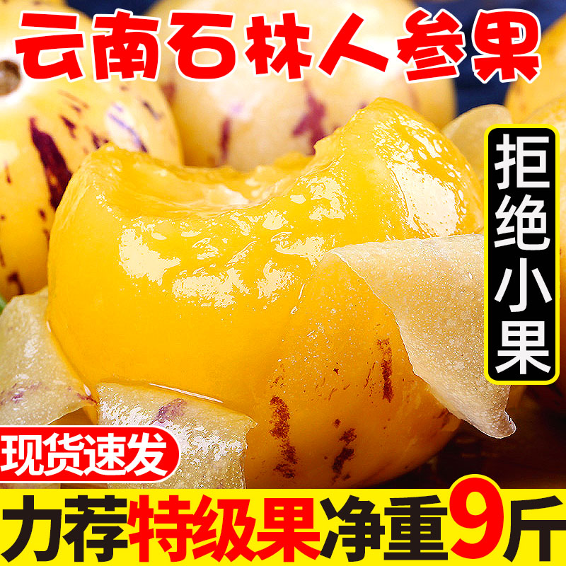 云南石林人参果5斤水果新鲜当季整箱10黄肉时令人生果人身果D