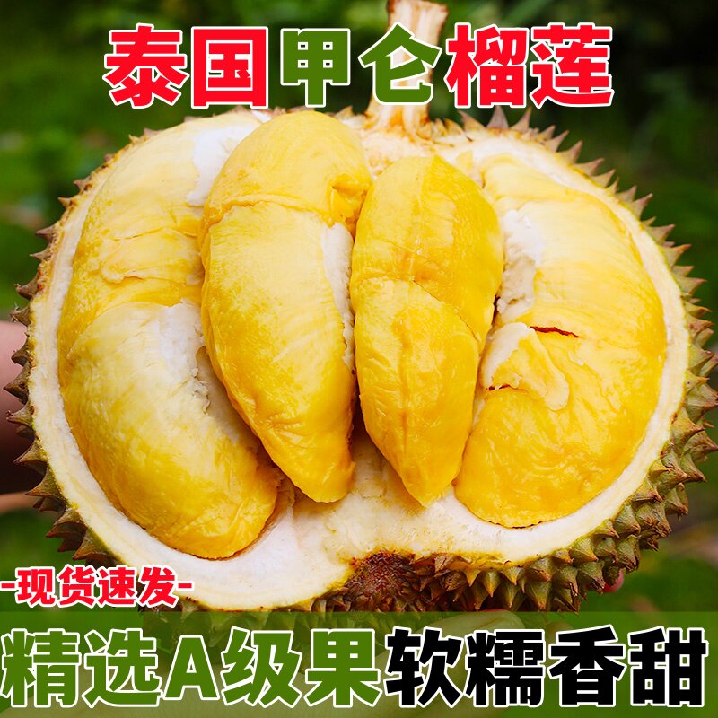 【精选A果】泰国新鲜甲仑榴莲核大超甜带壳一整个托曼尼巴掌鲜果