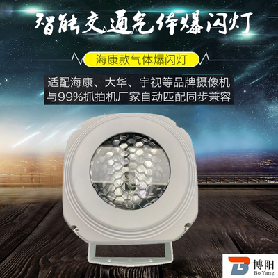 气体爆闪灯道路监控ETC监控抓拍