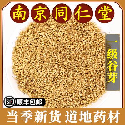 南京同仁堂正品谷芽中药材炒谷芽生谷芽炒熟泡茶泡水另售鸡内金