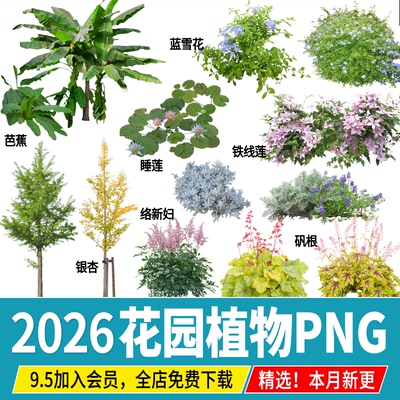 花园植物PNG庭院景观蓝雪花风车茉莉天门冬铁线莲PSD免扣ps素材