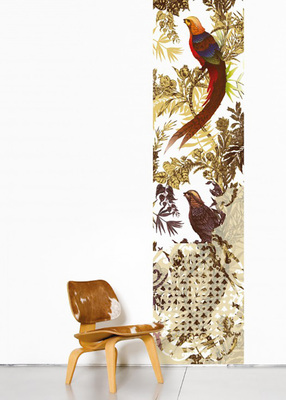 法国Moustache Plesant pheasant 鸟类多彩墙贴墙纸壁纸进口
