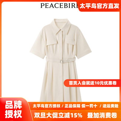 【商场同款】太平鸟女装2025秋季新款工装连衣裙A3FAD3217