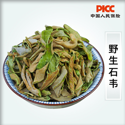 石韦中药材500g野生小叶