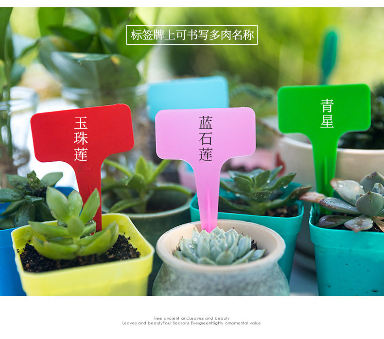 加厚PVC塑料重复多次使用植物园艺标签牌T型记号写字板标识插地牌