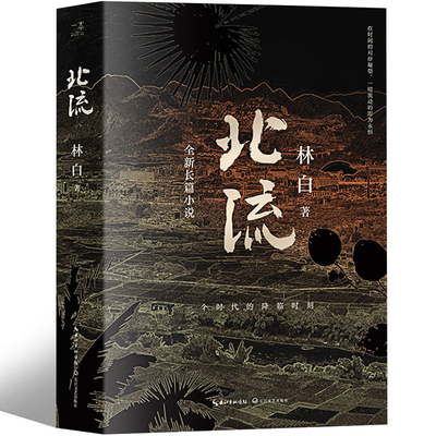 北流 2022年深圳读书月十大好书 华语文学传媒大奖、老舍文学奖得主林白沉潜八 林白 长江文艺出版社