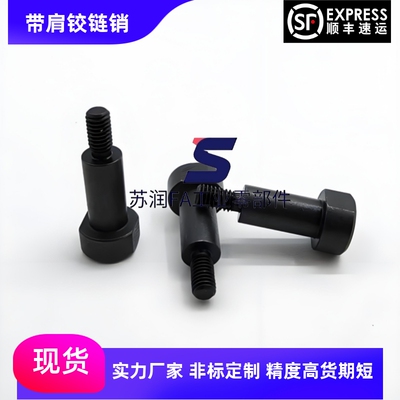 带肩铰链销轴CLBGNMIE11CLBDG