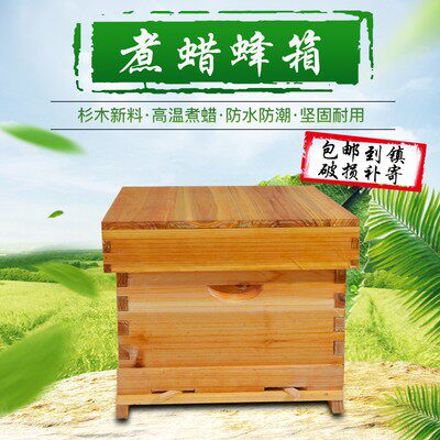 煮蜡蜜蜂蜂箱标准中蜂蜂箱加厚杉木全套新手意蜂养蜂工具平箱专用