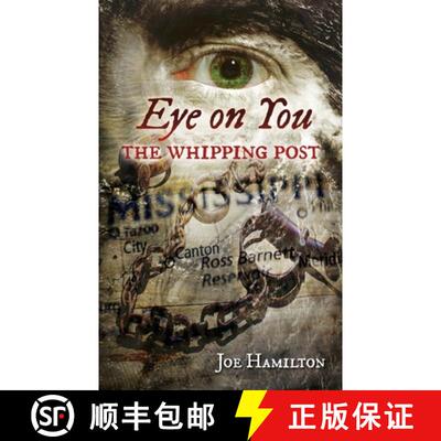 【3-4周达】Eye on You - The Whipping Post: A Gabriel Ross Mystery Book 8 [9780993999987]