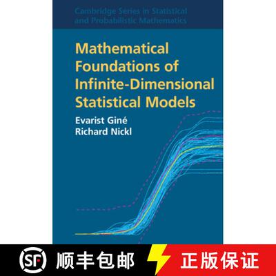现货 无限维统计模型的数学基础 Mathematical Foundations of Infinite-Dimensional Statistical Models [9781108994132]