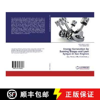 预订 Energy Generation by Burning Biogas and Lean Syngas in Gas Engines [9783330343603]