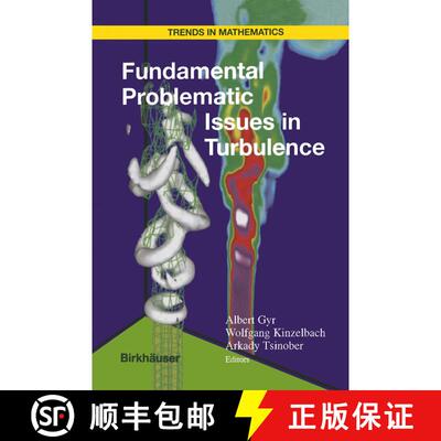 【3-4周达】精装 Fundamental Problematic Issues in Turbulence [9783764361501]