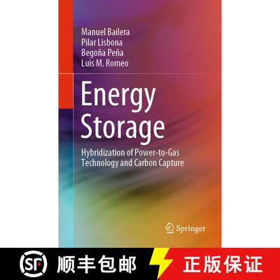 【3-4周达】Energy Storage : Hybridization of Power-to-Gas Technology and Carbon Capture [9783030465261]