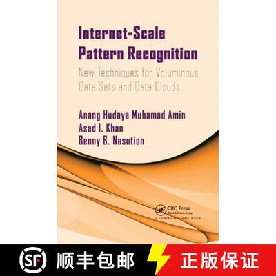预订 Internet-Scale Pattern Recognition: New Techniques for Voluminous Data Sets and Data Clouds [9780367380625]