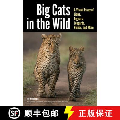 【3-4周达】Big Cats in the Wild: A Visual Essay of Lions, Jaguars, Leopards, Pumas, and More [9781682033241]