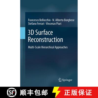 【3-4周达】3D Surface Reconstruction : Multi-Scale Hierarchical Approaches [9781493901173]