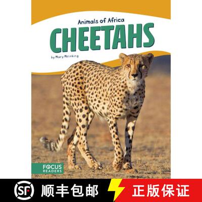【3-4周达】Cheetahs [9781635172607]