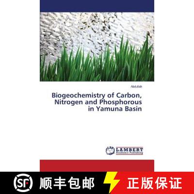预订 Biogeochemistry of Carbon, Nitrogen and Phosphorous in Yamuna Basin [9783659768217]