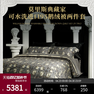 ESTEEM/宜庭莫里斯典藏家匈牙利95可水洗鹅绒子母被【专柜同款】