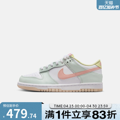 NIKE耐克大童鞋DUNK  BG运动休闲鞋IV2861-181