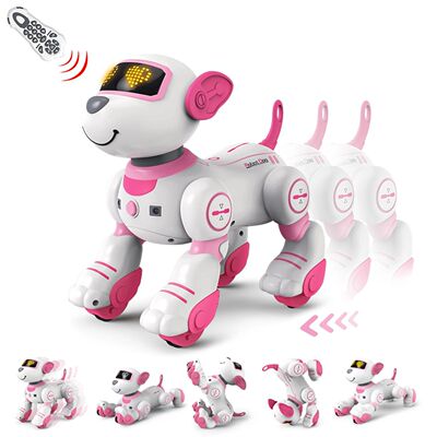 RemoteControlRobotDog