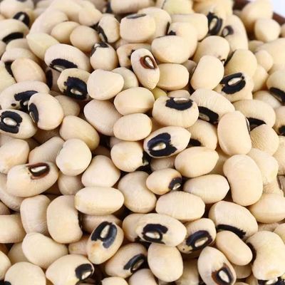 农家白豇豆 白豆白饭豆眉豆五谷杂粮粗粮豆子50斤