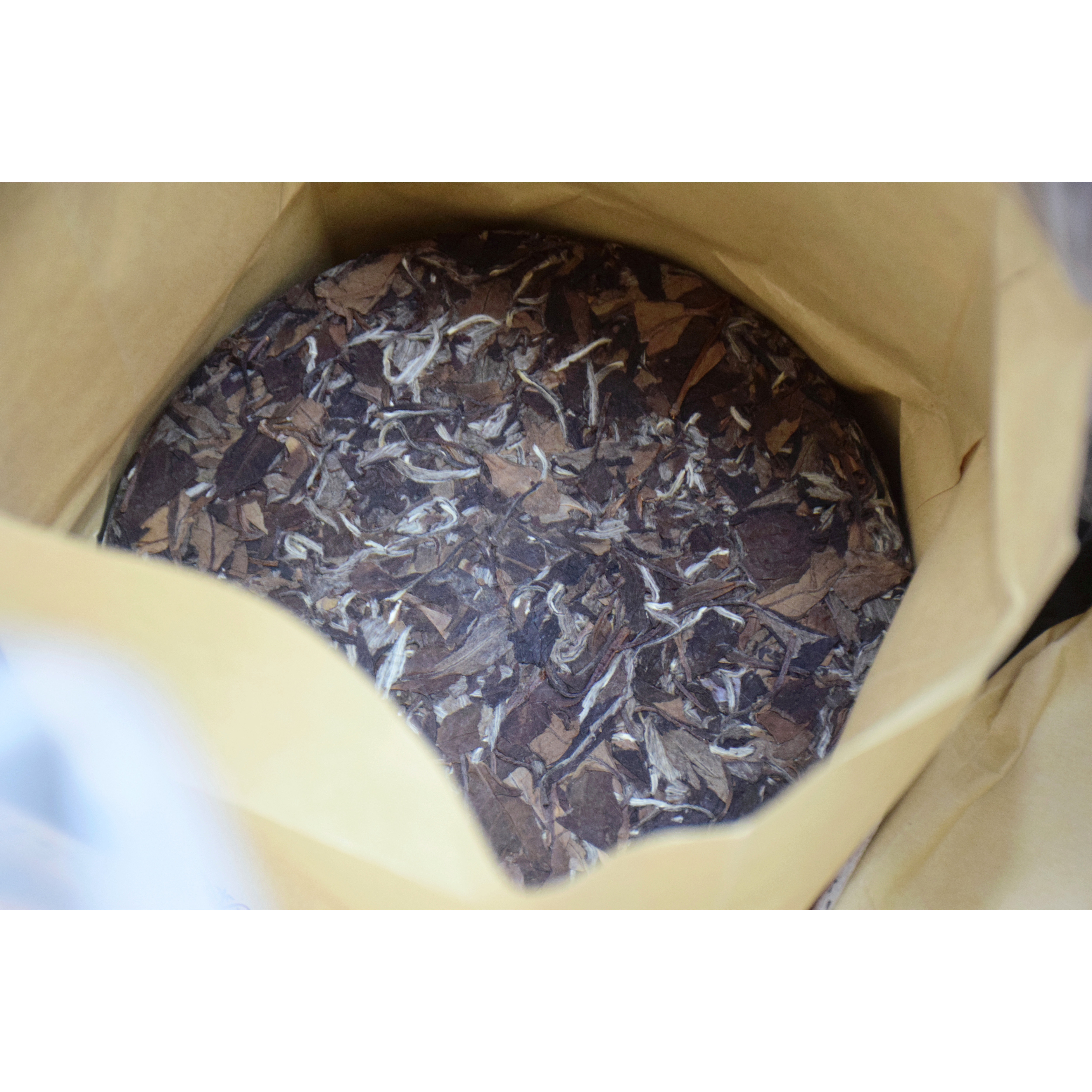 2015年白牡丹茶饼福鼎白茶 十一年陈化珍藏版枣香浓郁正味老白茶