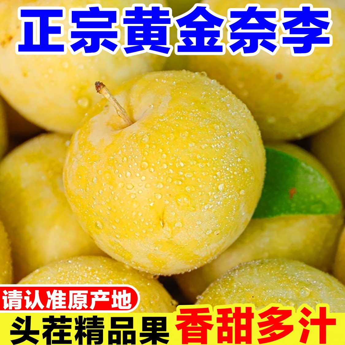 正宗黄金奈李新鲜当季孕妇水果现摘脆甜冰糖李脱骨李子黄金恐龙蛋