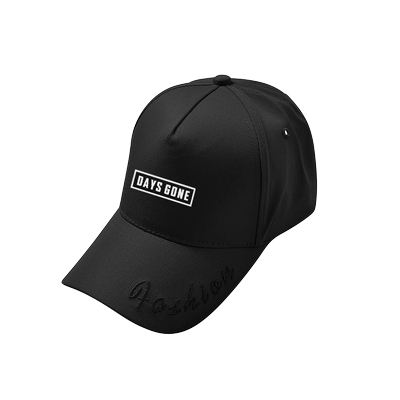 steam往日不再人生尽头末日帽子