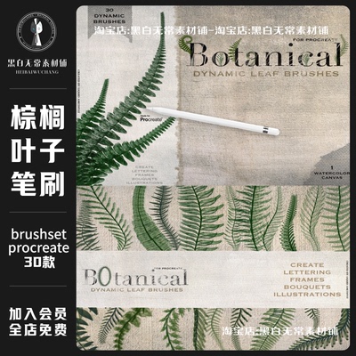 procreate笔刷热带雨林棕榈叶子树叶蕨类常青植物画笔设计素材图
