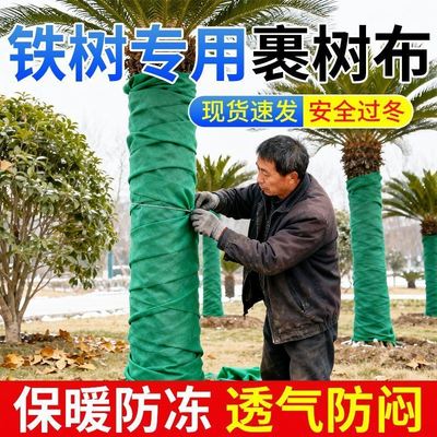 铁树专用防寒布裹树布果树专用户外包树布条保暖防冻保温园林绿化
