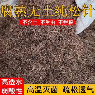 腐熟纯松针兰花杜鹃君子兰专用腐叶土疏松透气发酵天然松针腐殖土