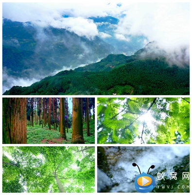 S2509 山哈小画眉 歌曲MV 节目舞台舞美 LED大屏动态背景视频素材