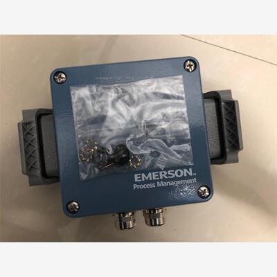 EMERSON艾默生全新振动前置器振动变送器CSI 3120  A3120/022-00