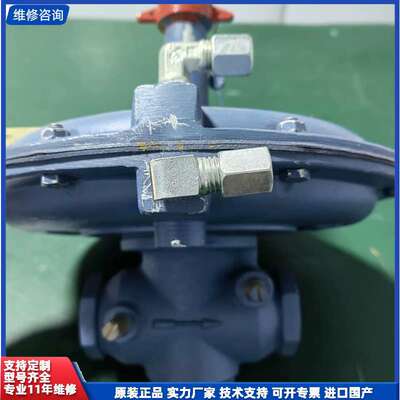 议价-ESA PYRONICS 8BZR-NPT燃气调节阀，型号2