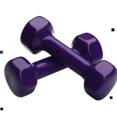 新款 dumbells健身雅铃练臂肌女式小哑铃练手臂加厚2020器材耐磨