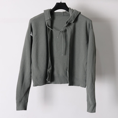 春秋女连帽显瘦短款无扣卫衣