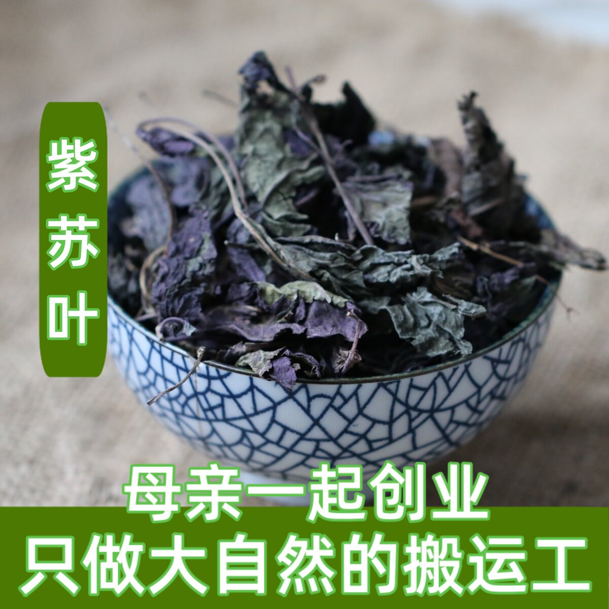 新鲜正宗紫苏叶 纯正紫苏叶干去腥烧鱼虾蟹解表散寒中药材50g