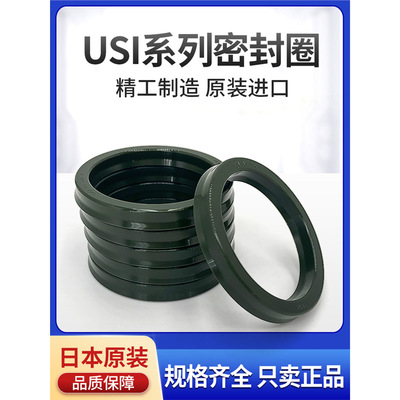 日本NOK墨绿色耐压油封US