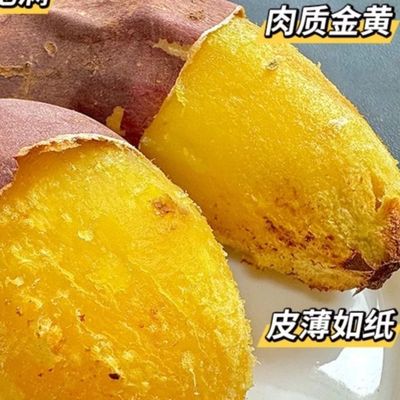 正宗海南鸣门金时榴莲蜜薯红薯香甜软糯原产地发新鲜现挖