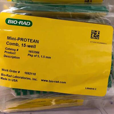 电泳玻璃板梳子Bio-Rad伯乐