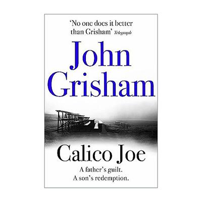 英文原版 Calico Joe 残垒 父子与救赎 约翰·格里森姆 John Grisham 英文版 进口英语原版书籍