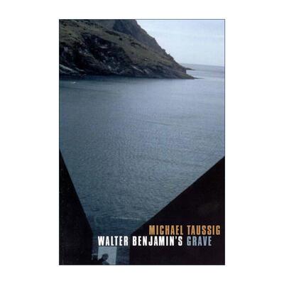 英文原版 Walter Benjamin's Grave 本雅明之墓 一场人类学写作实验 哥伦比亚大学教授迈克尔·陶西格 英文版 进口英语原版书籍