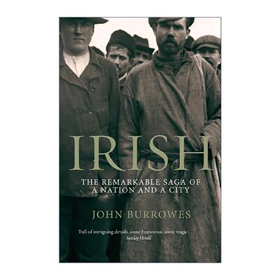 英文原版 Irish 爱尔兰人 一个民族与一座城市的非凡传奇 英文版 进口英语原版书籍