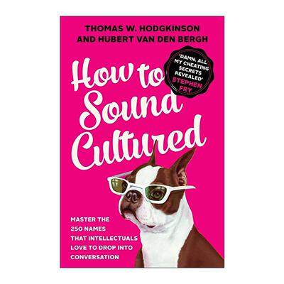 英文原版 How To Sound Cultured 装腔指南 如何驾驭与文化人的对话 英文版 进口英语原版书籍