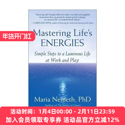 英文原版 Mastering Life's Energies 掌握生命的能量 在工作和娱乐中走向光明 自我提升指南 哲学 英文版 进口英语原版书籍