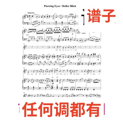 Piercing Eyes Heller Blick 明亮的眼睛2页G伴奏谱正谱声乐