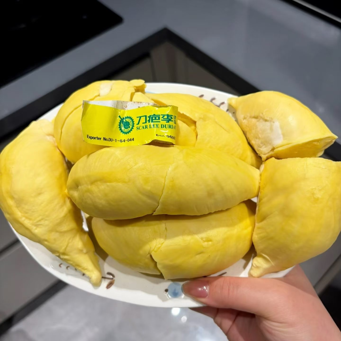 新鲜当季泰国金枕榴莲刀疤李树上树黄肉干包糯甜