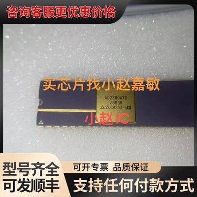 议价AD2S80ATD/883B封装SIDE BRA接口CO可维修